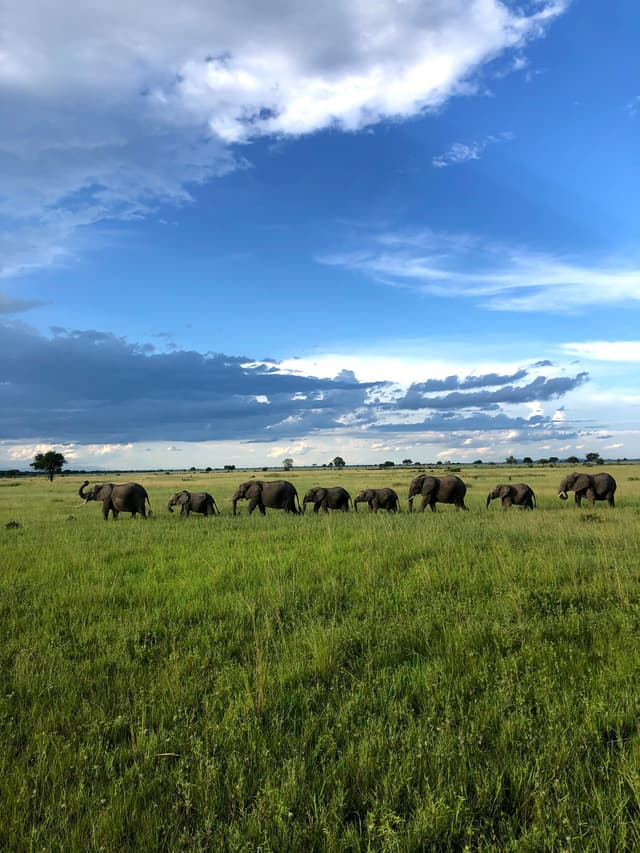Hailey Dougherty - Biodiversity conservation and climate resilience ...